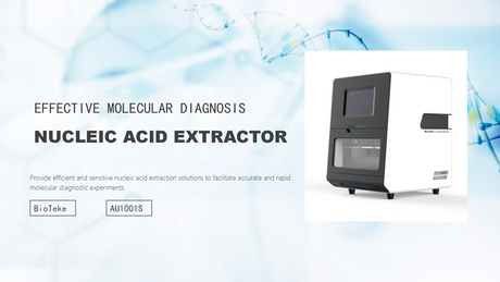 Efficient Nucleic Acid Extraction Solution: The First Step To Accurate ...